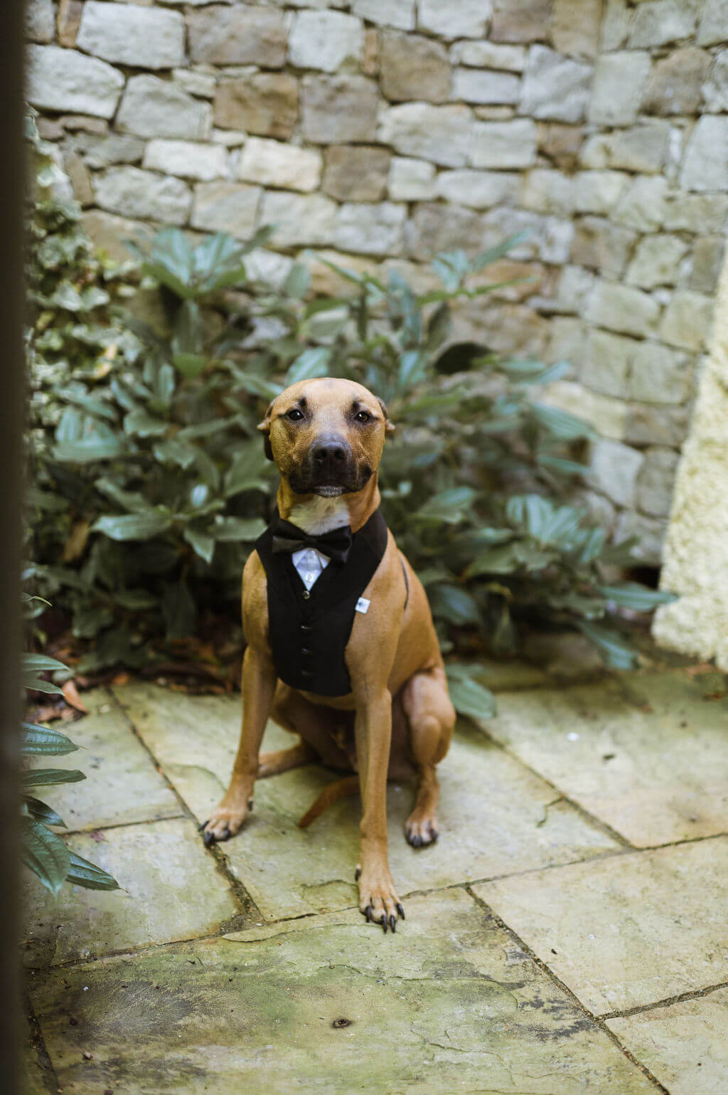 Victoria & Marc: A Feast of Flowers at Ballyfin - Waterlily Weddings